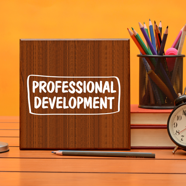 Why Professional Development Matters Especially When Budgets Are Tight ...